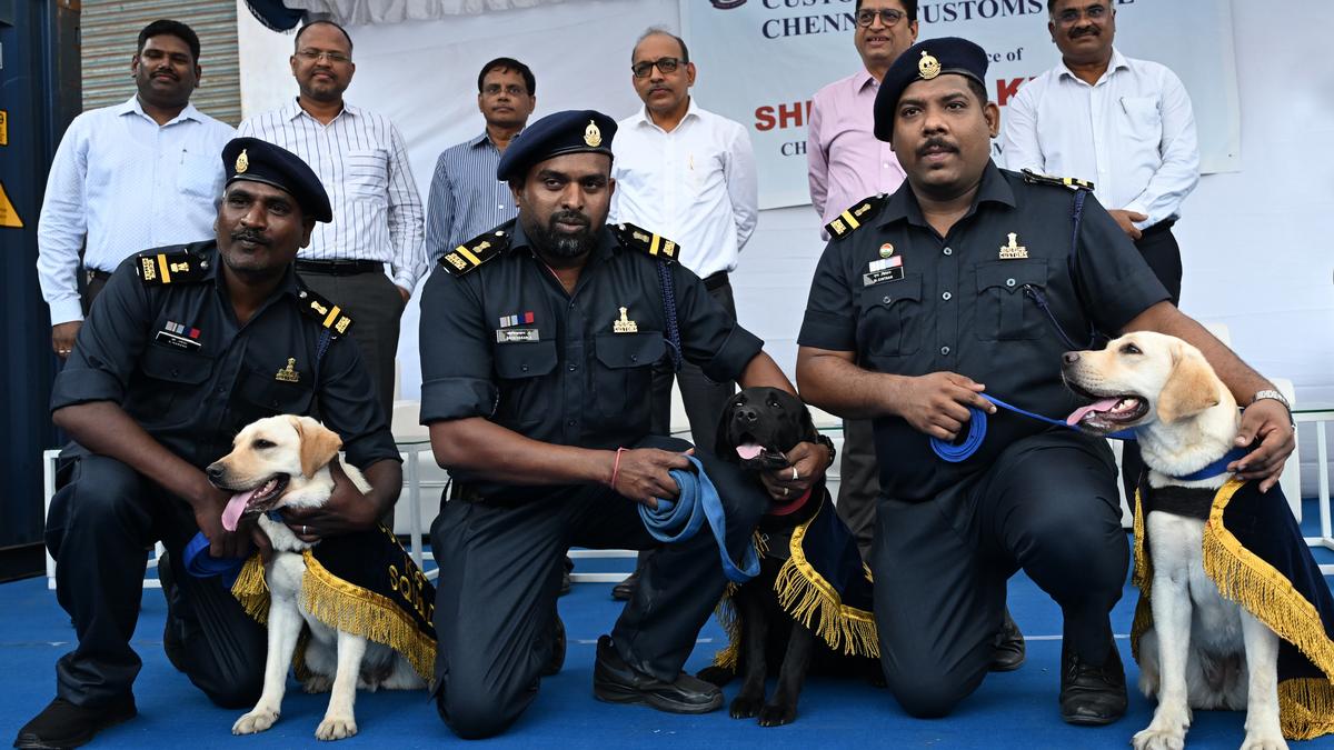 Customs Canine Squad just got bigger: Say hello to the new entrants Browny, Cherry and Super ...